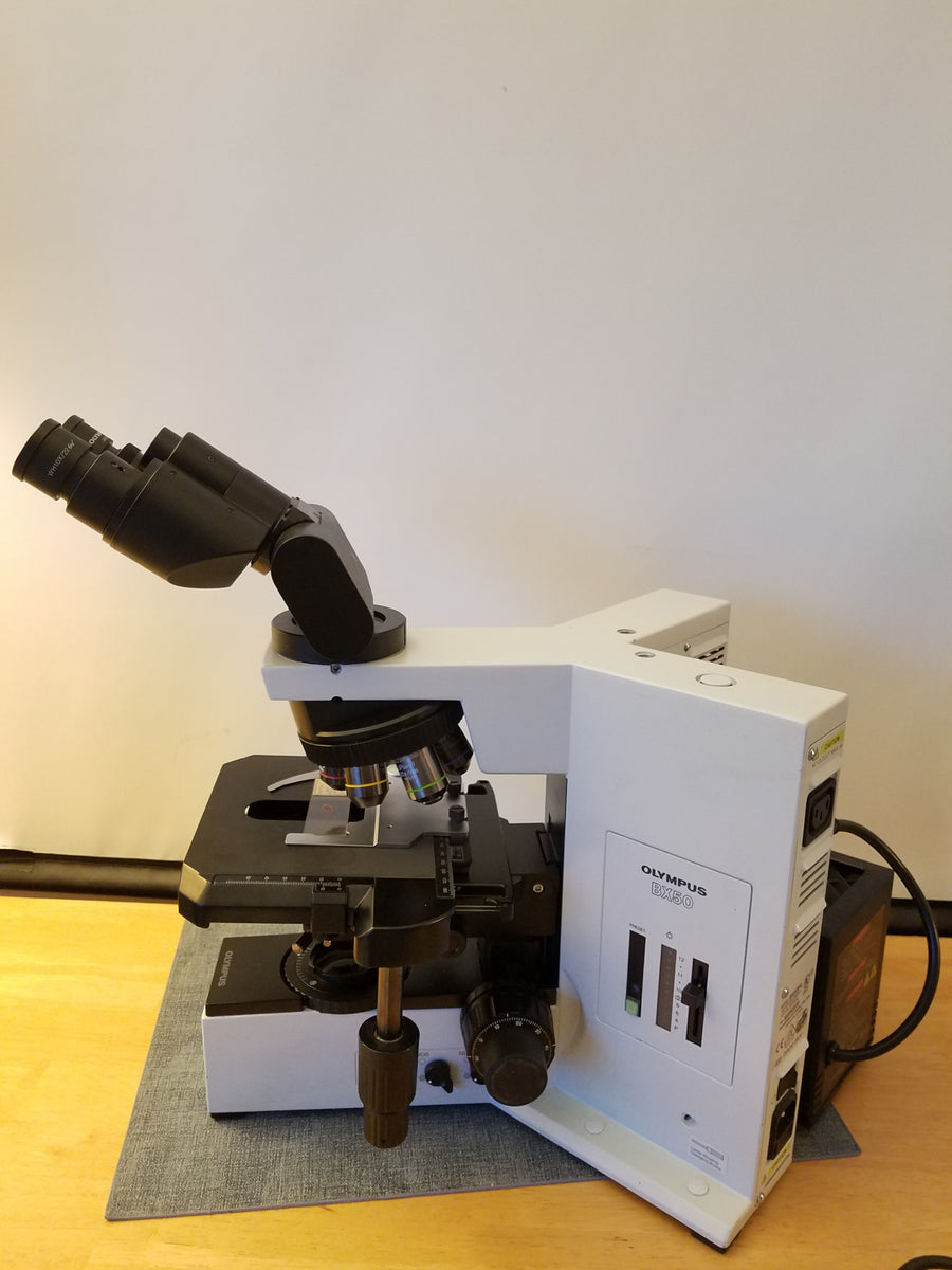 Olympus BX50 Pathology Microscope – Midwest Microscope Boneyard