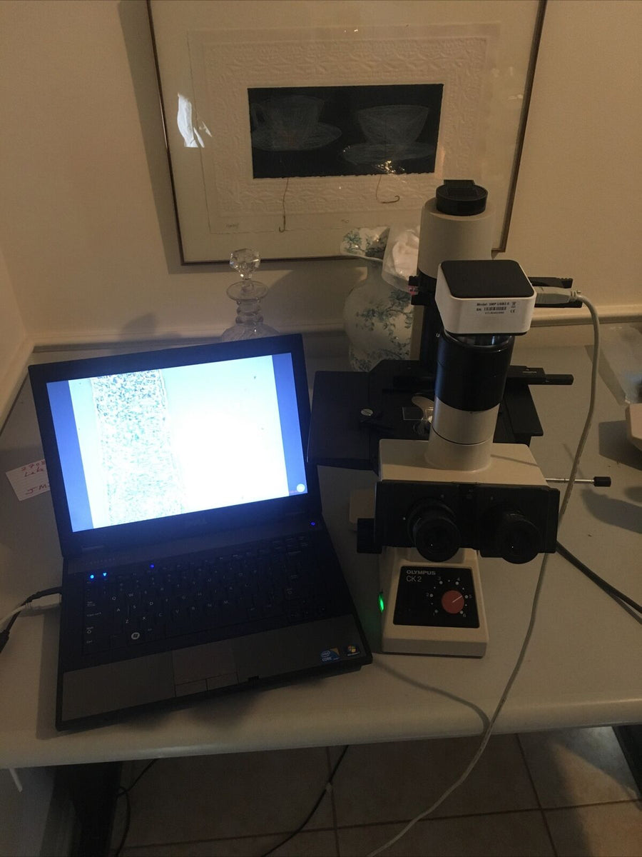 Olympus CK2 Inverted Trinocular Microscope Phase Contrast 5MP USB Cam ...